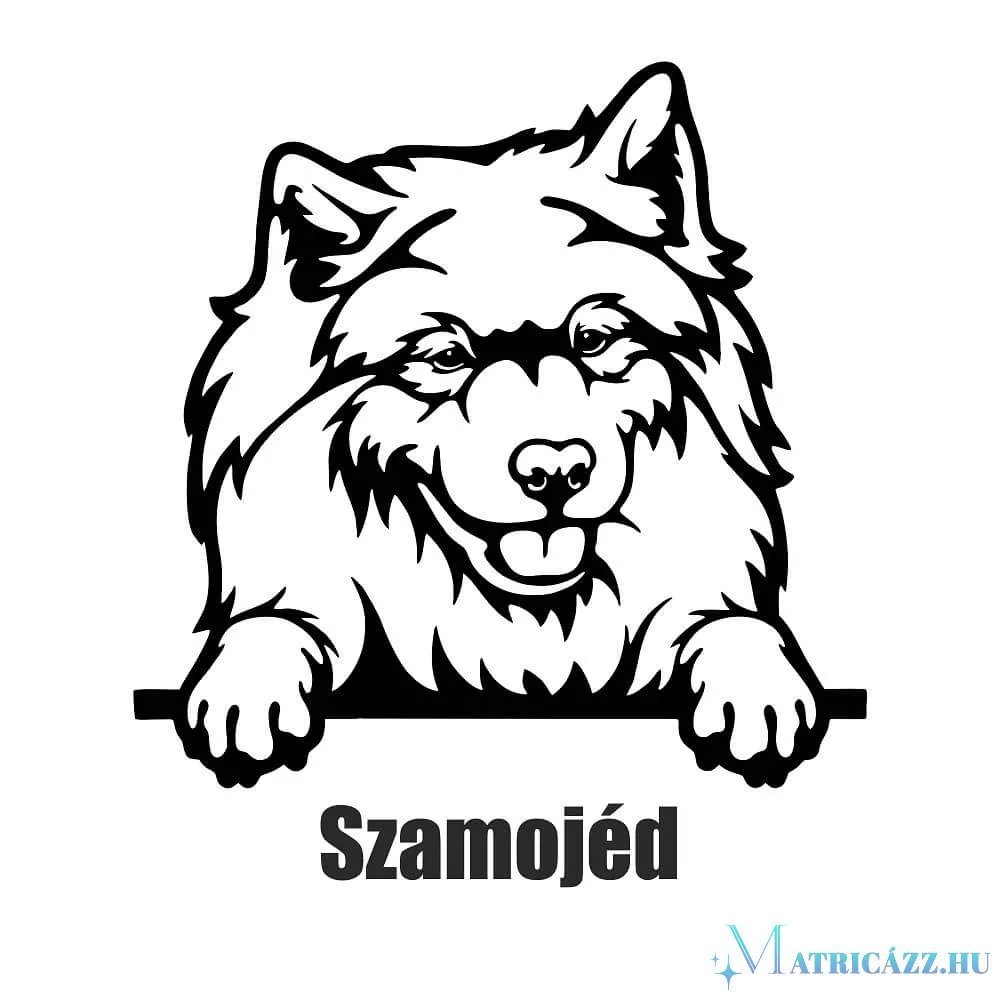 Szamojéd matrica 2 - Matricázz.hu matrica webáruház